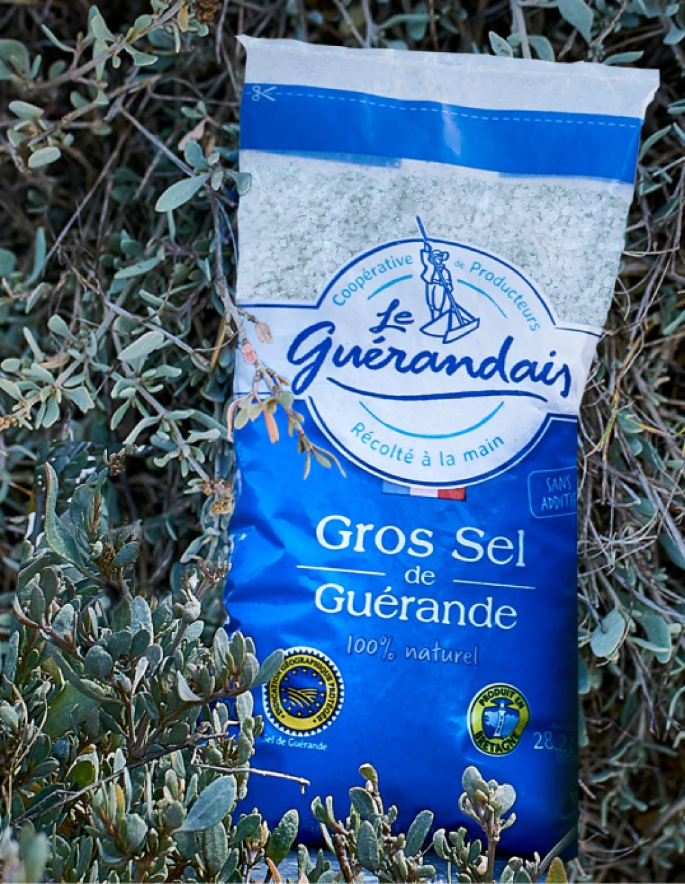 Natural Coarse Guerande Sea Salt