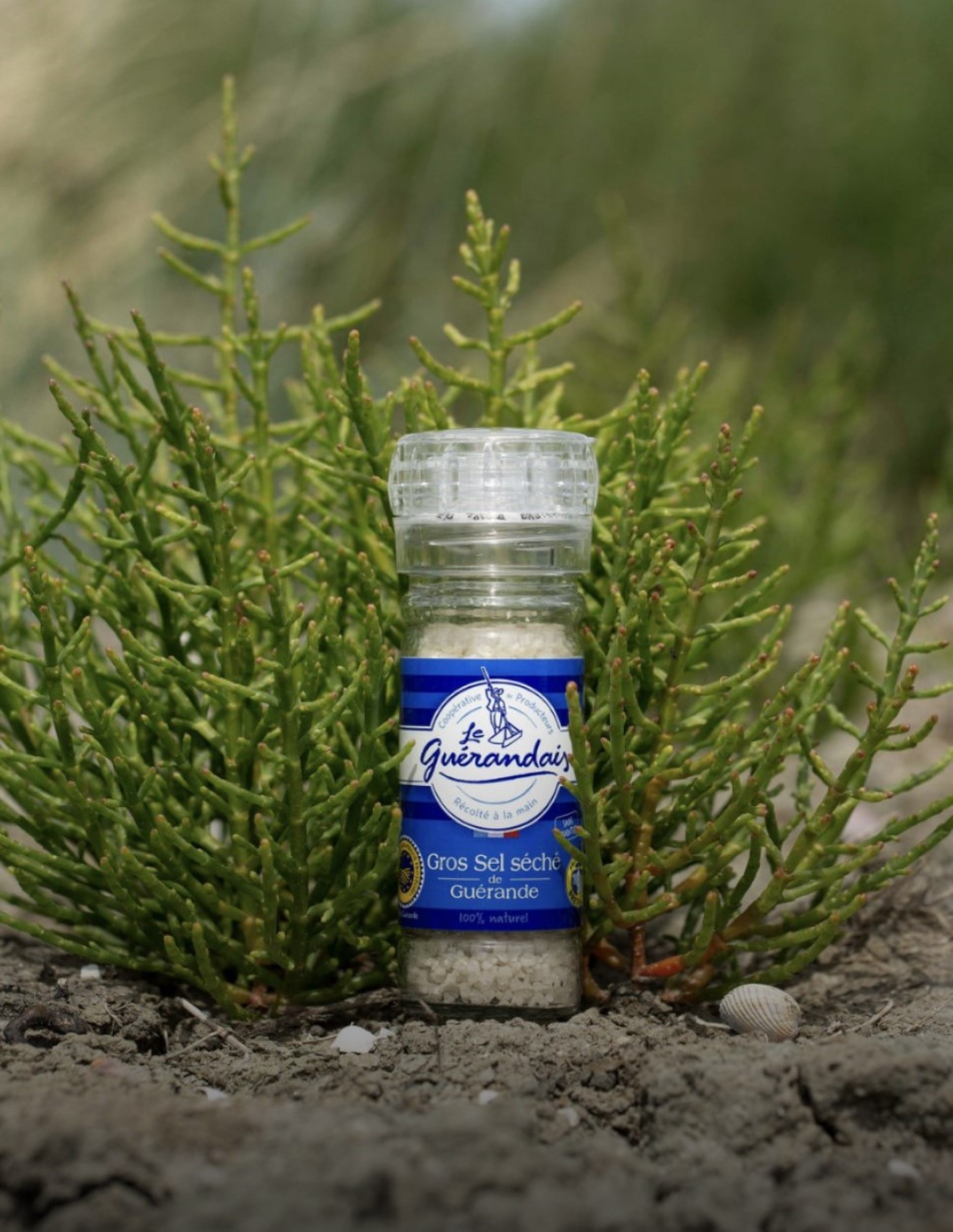 Natural Coarse Guerande Sea Salt