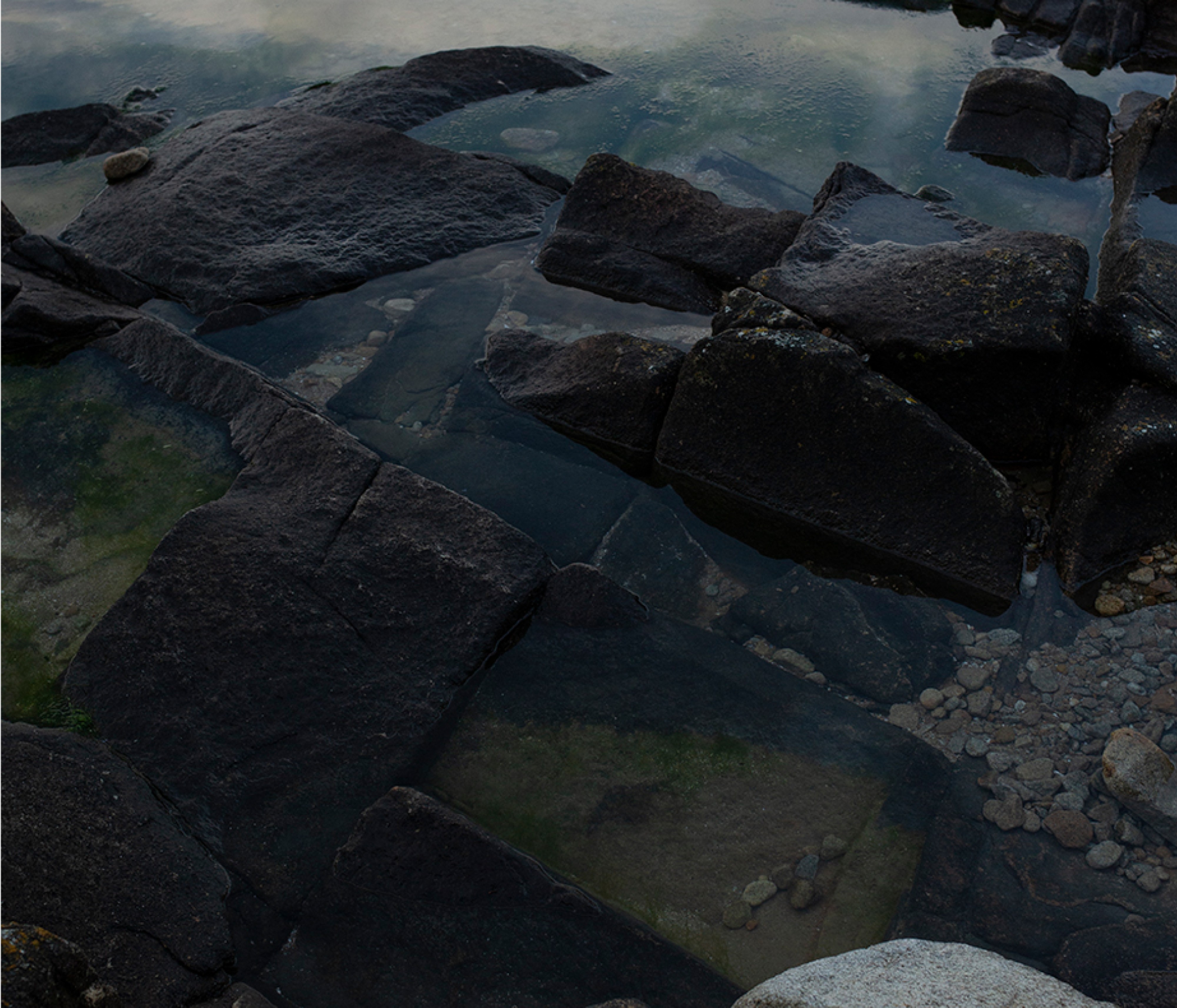 Guérande salt marshes - A wild heritage to discover about salt